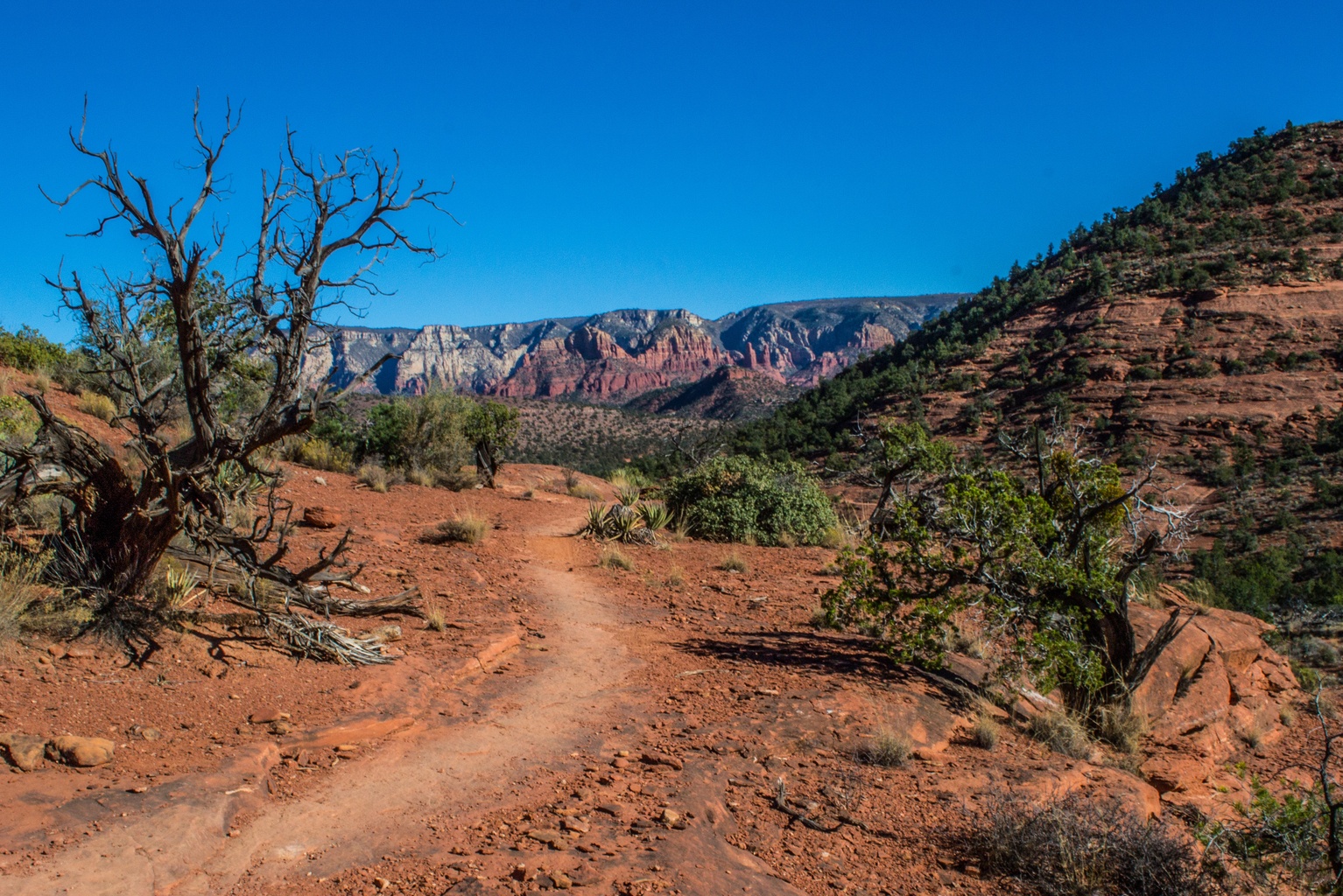 Scorpion/Pyramid Loop Trail