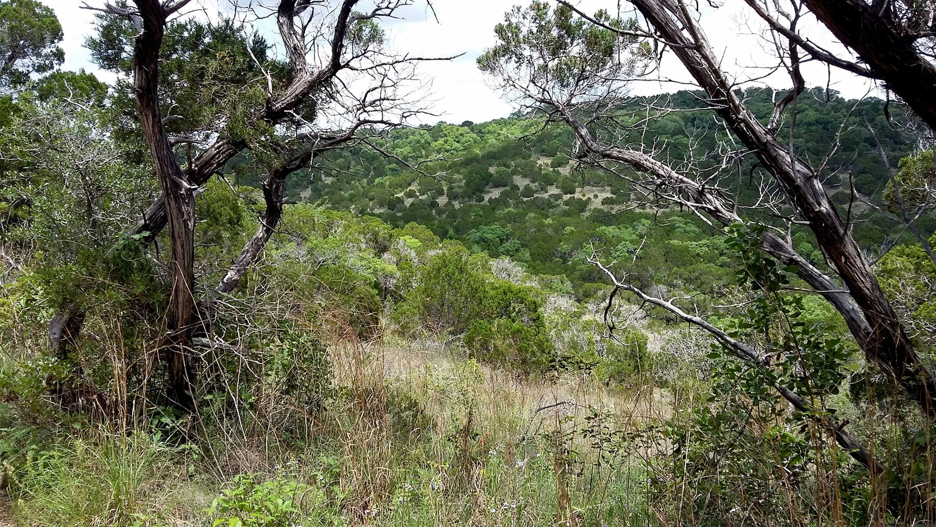Wild Basin Wilderness Preserve