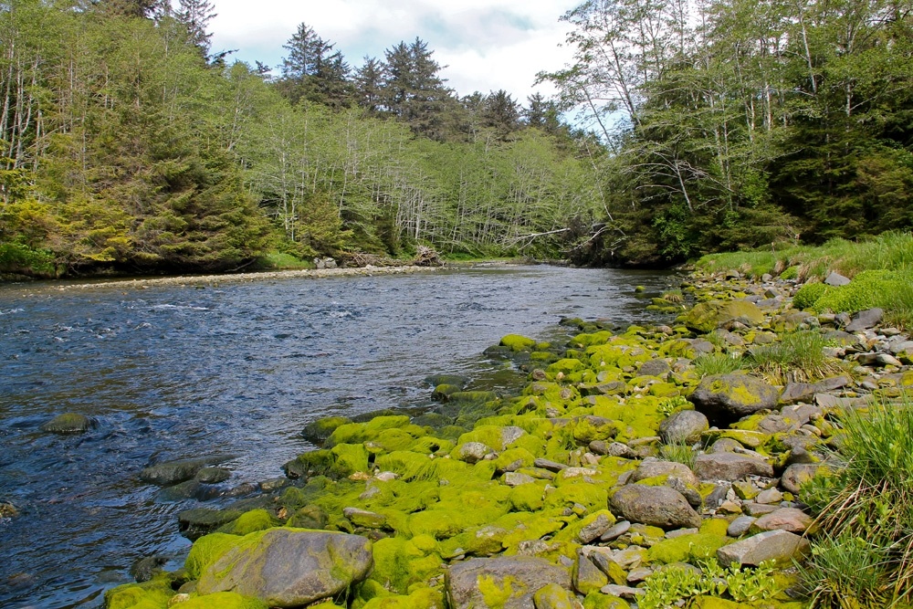 Indian River Trail