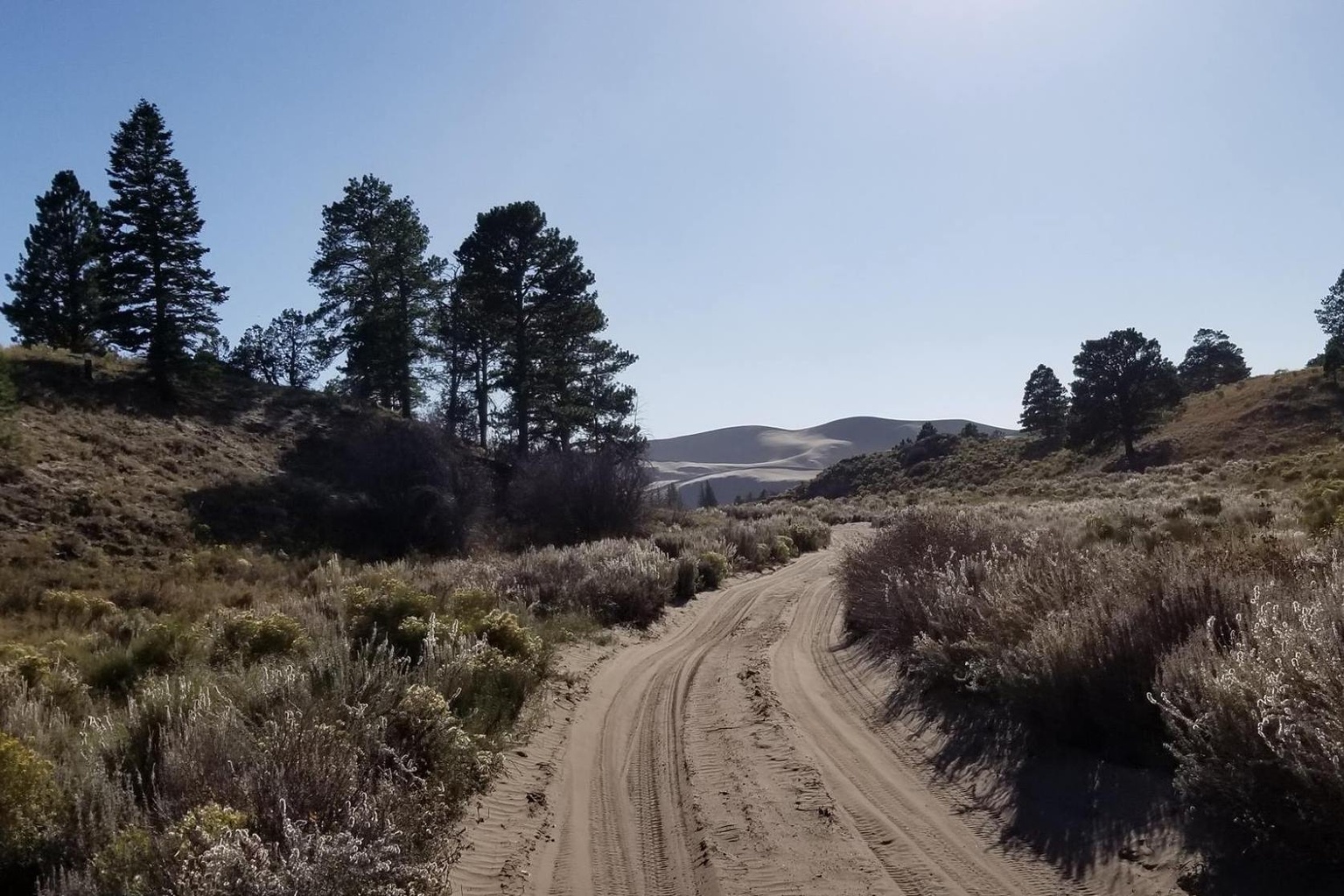 Medano Pass Primitive Road