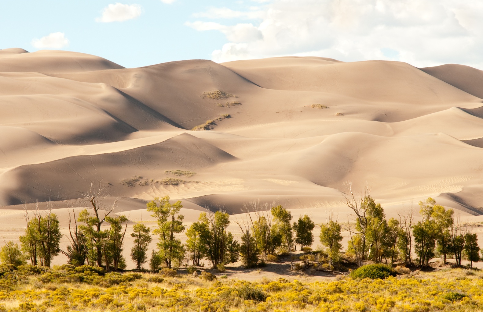 Sand Pit Picnic Area