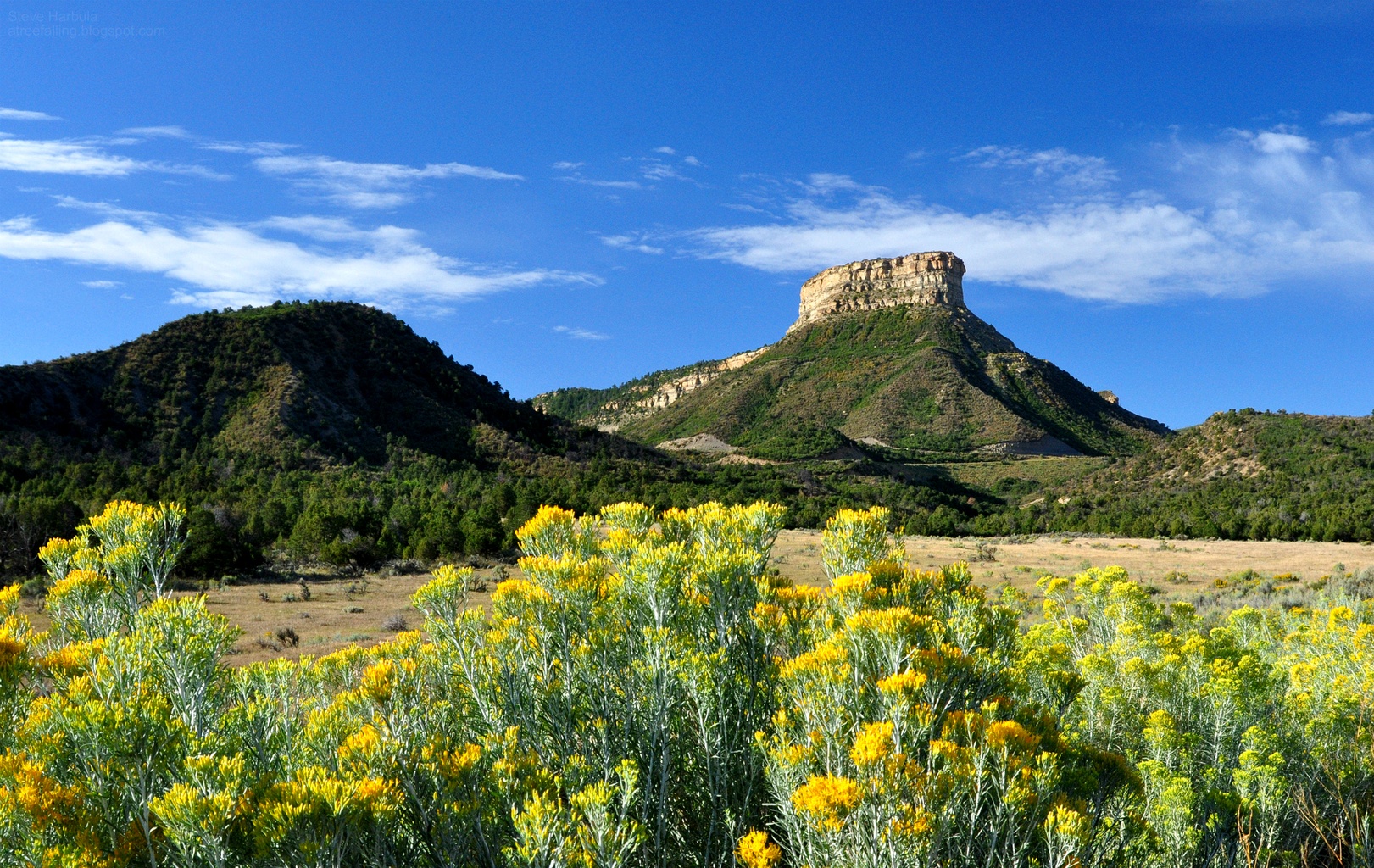 Point Lookout Trail
