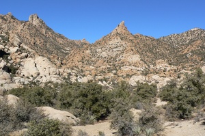 Caruthers Canyon (Giant Ledge Mine)