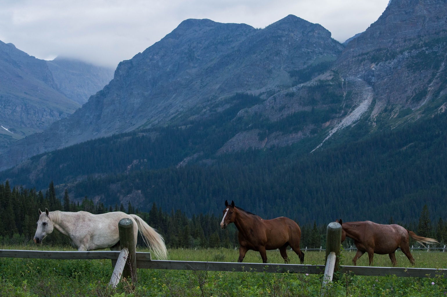 Belly River Ranger Station Historic District