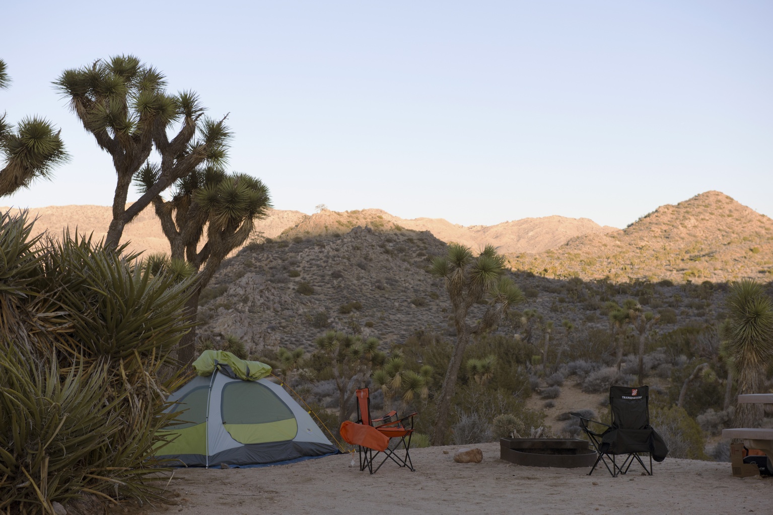 Black Rock Campground (Joshua Tree)