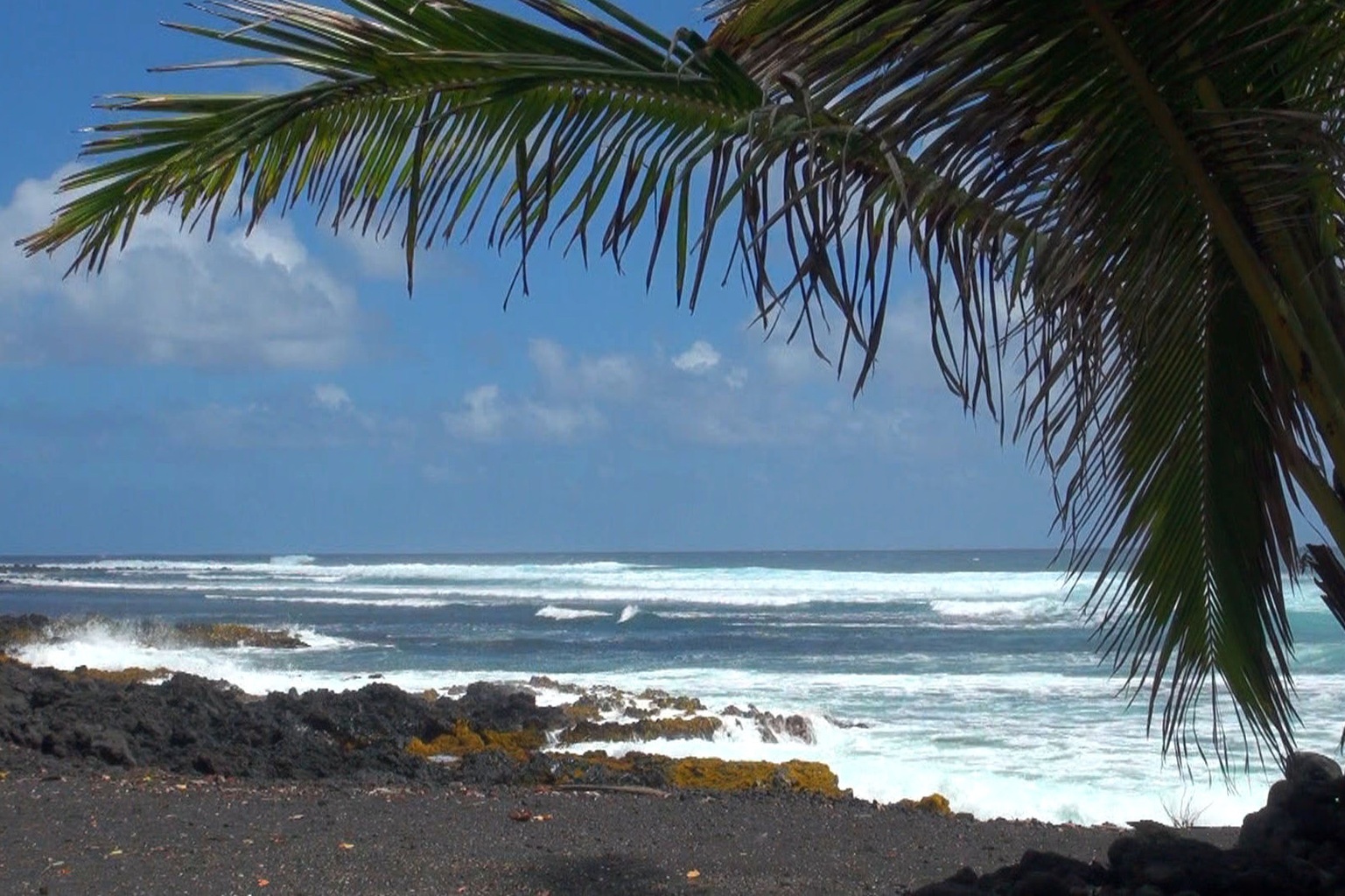 Pohoiki Bay and Hot Spring