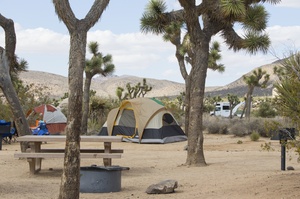 Joshua Tree National Park