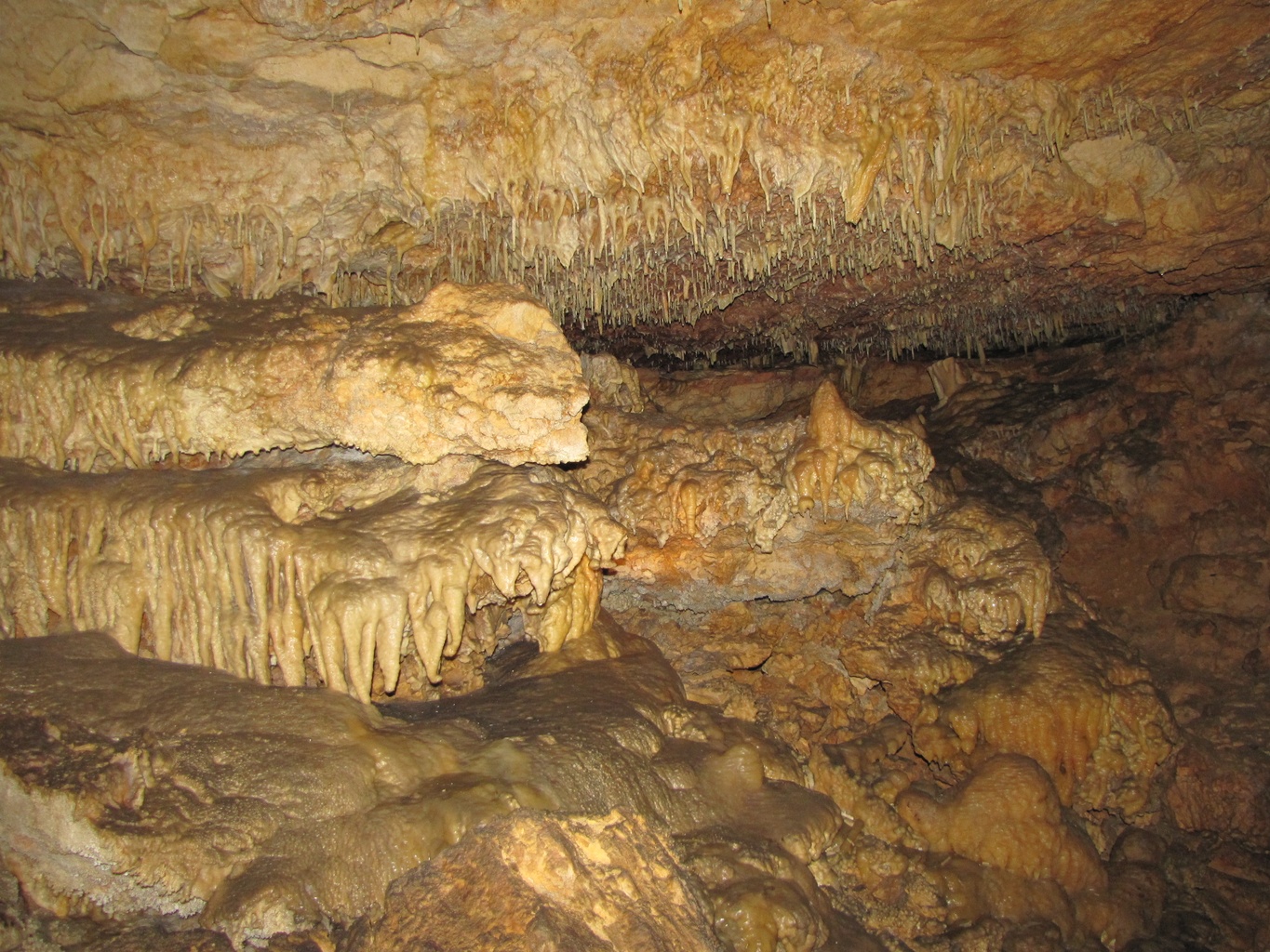 Calgardup Cave