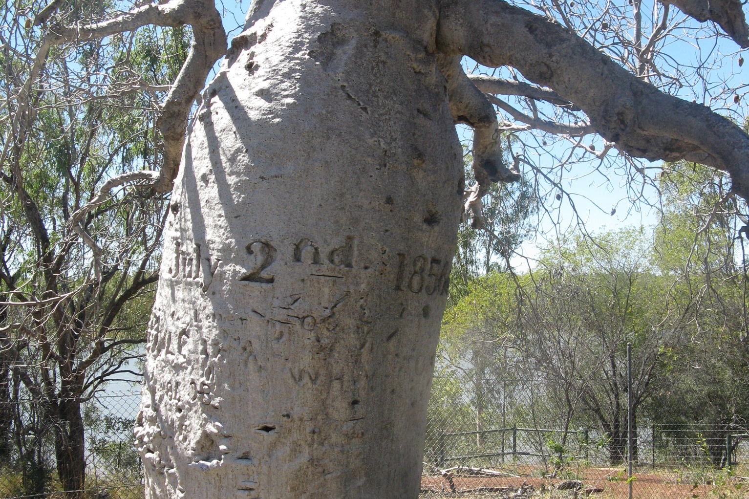 Gregory's Tree Historical Reserve