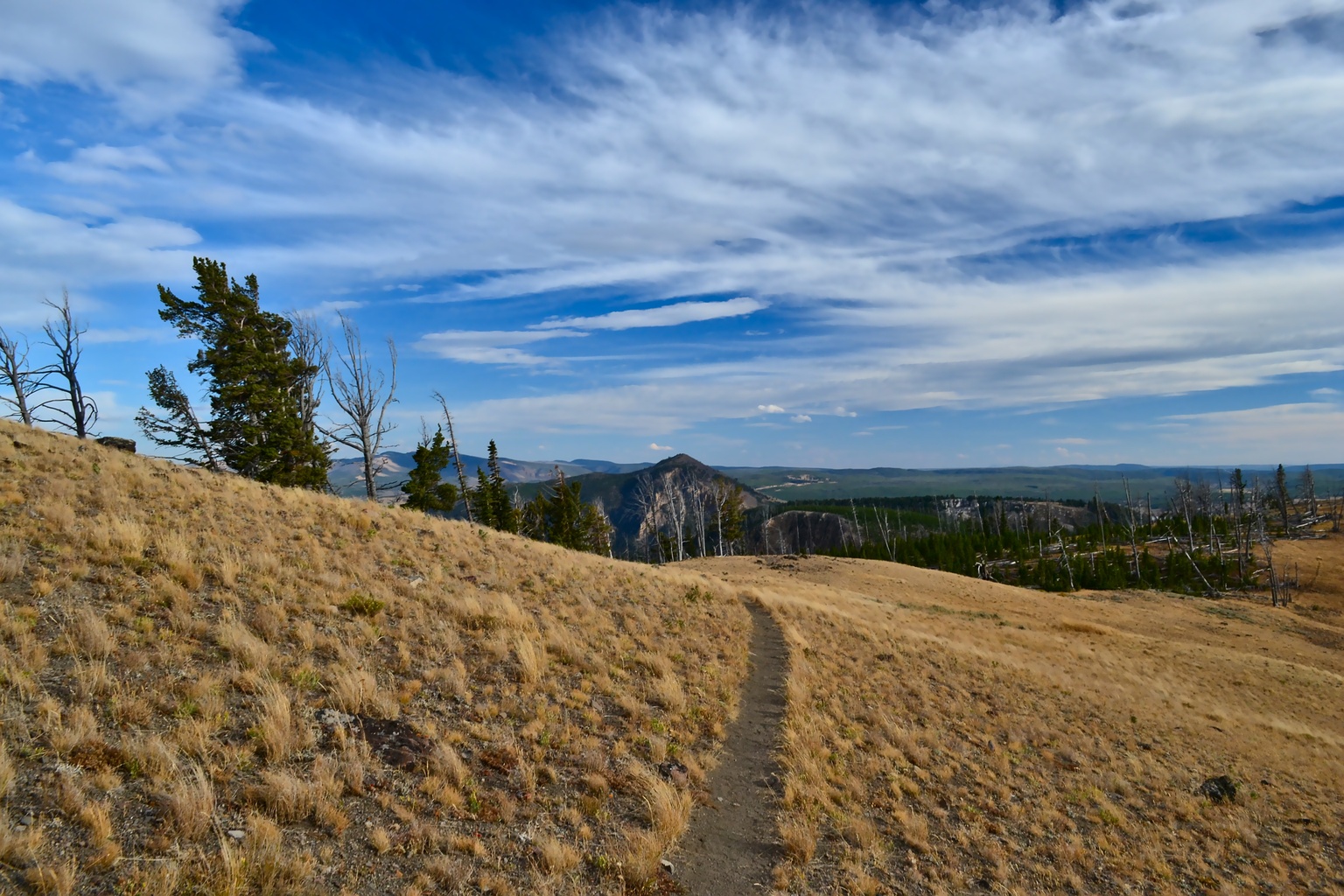 Yellowstone Lake Overlook Trail