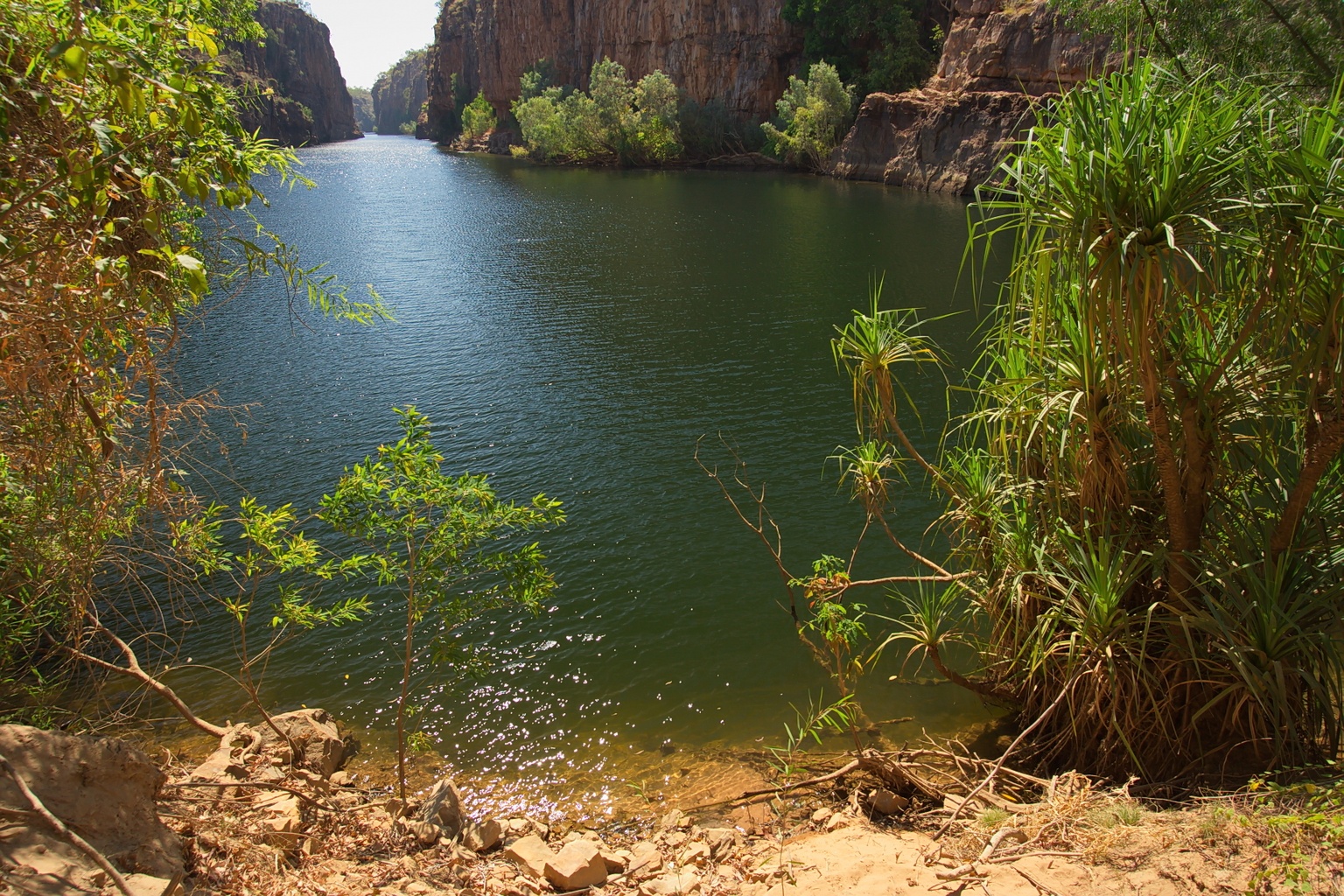 Butterfly Gorge Walk