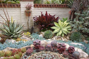 Sherman Library and Gardens