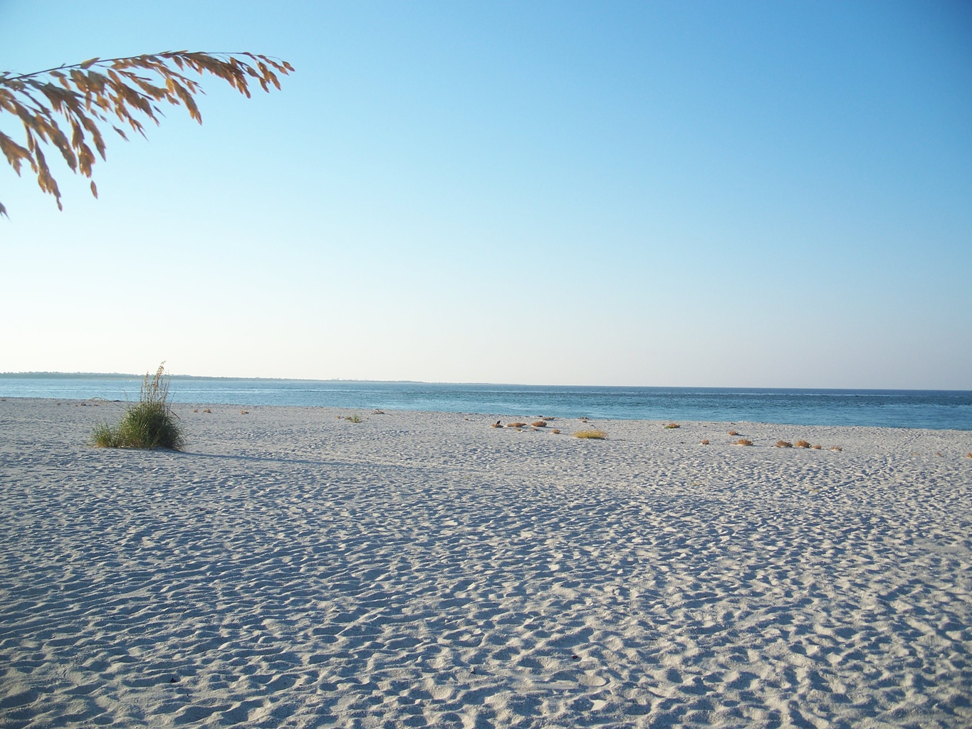 Gasparilla Island State Park