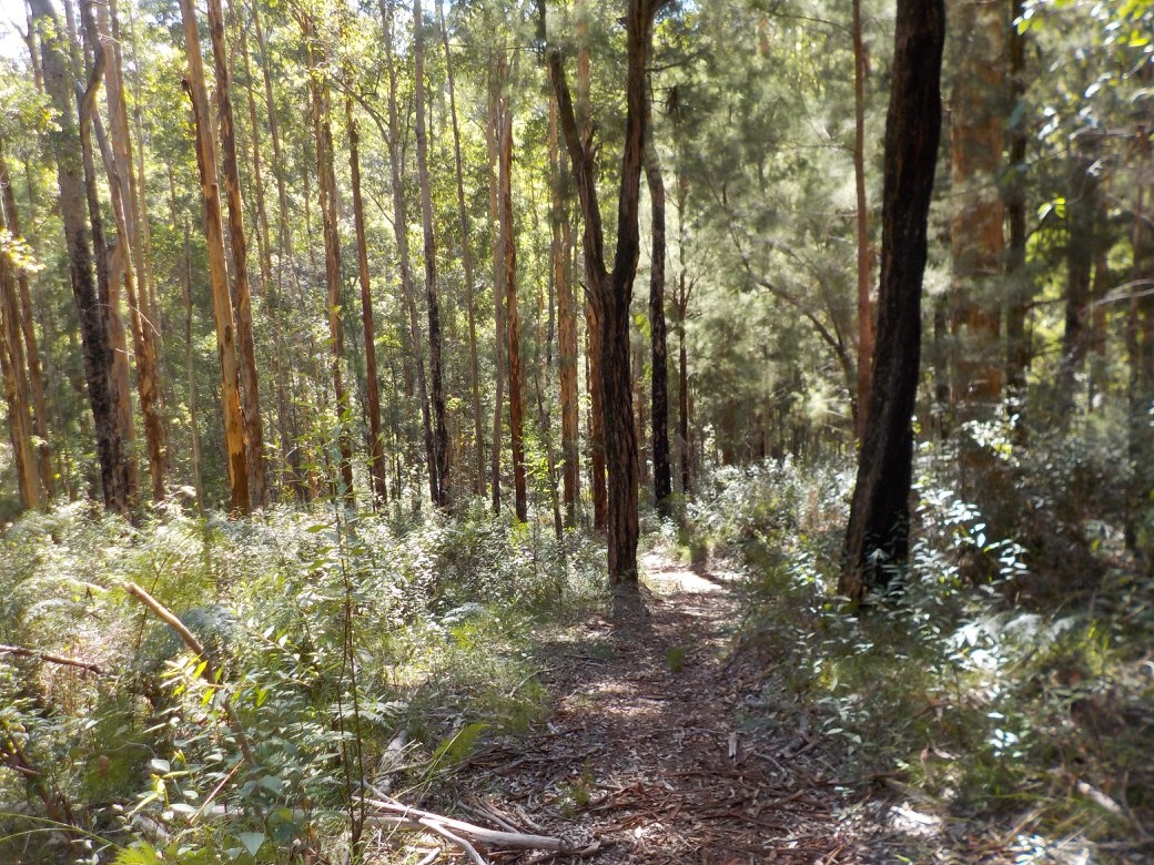 Helena National Park