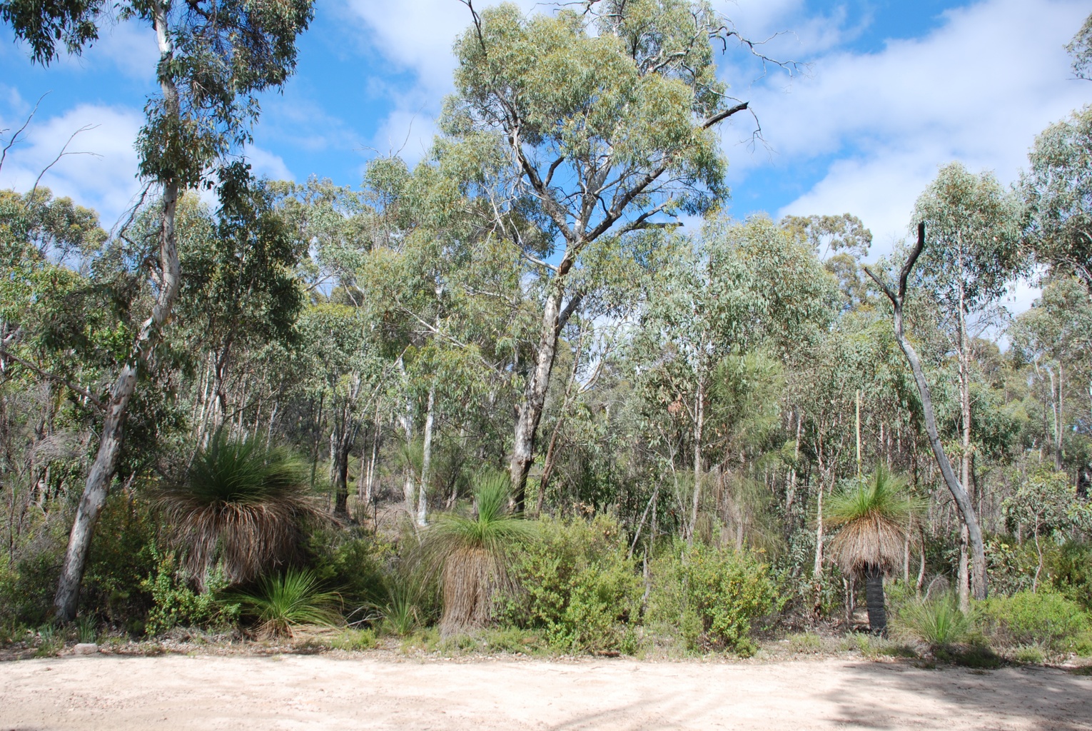Avon Valley National Park