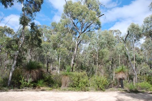 Avon Valley National Park