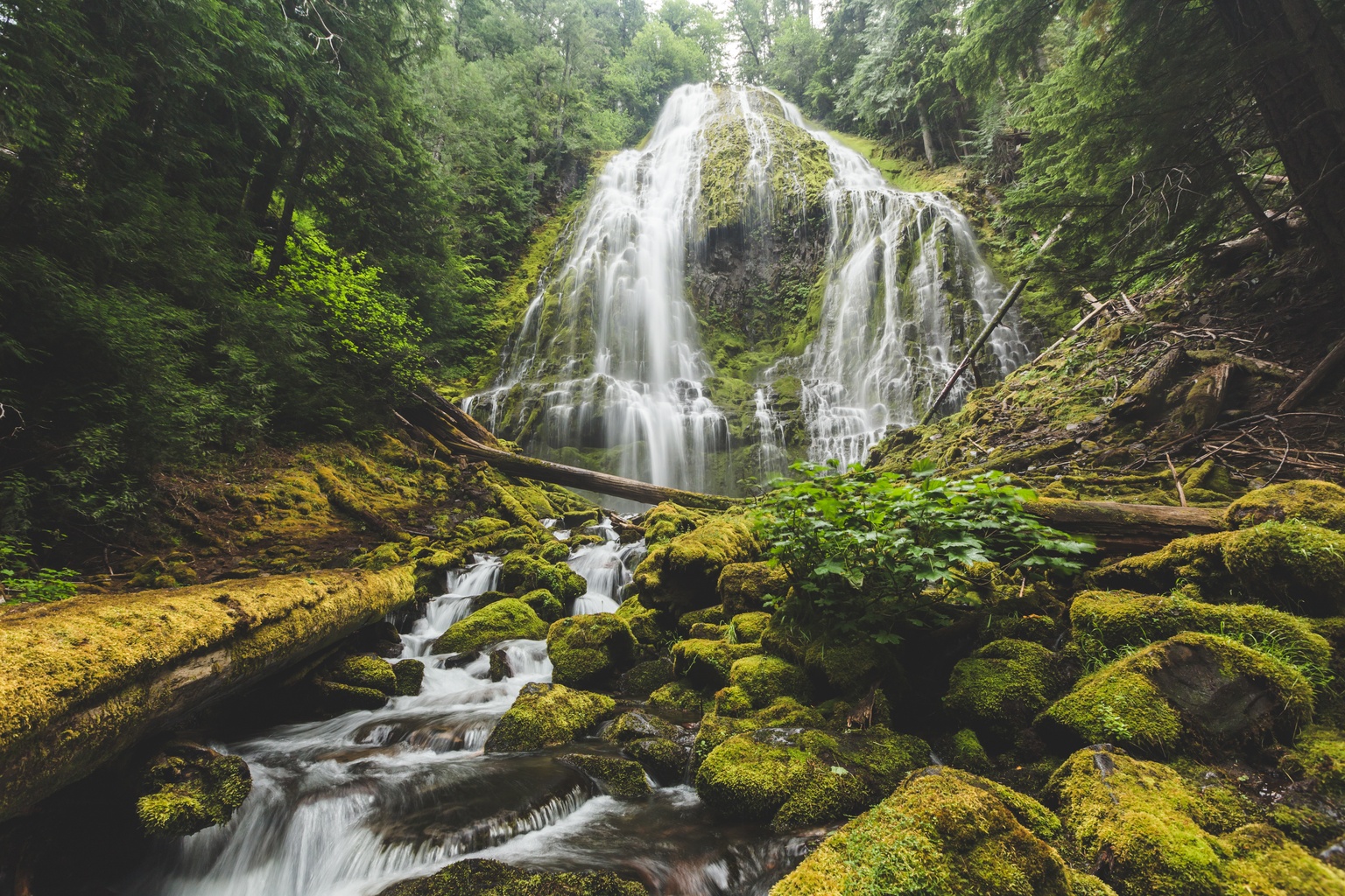 Proxy Falls