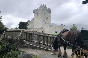 Ross Castle