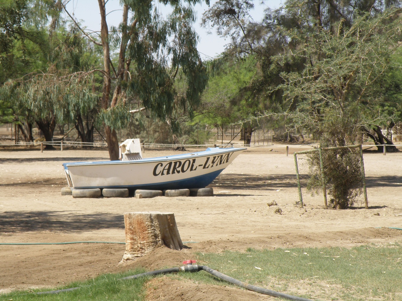 Goanikontes