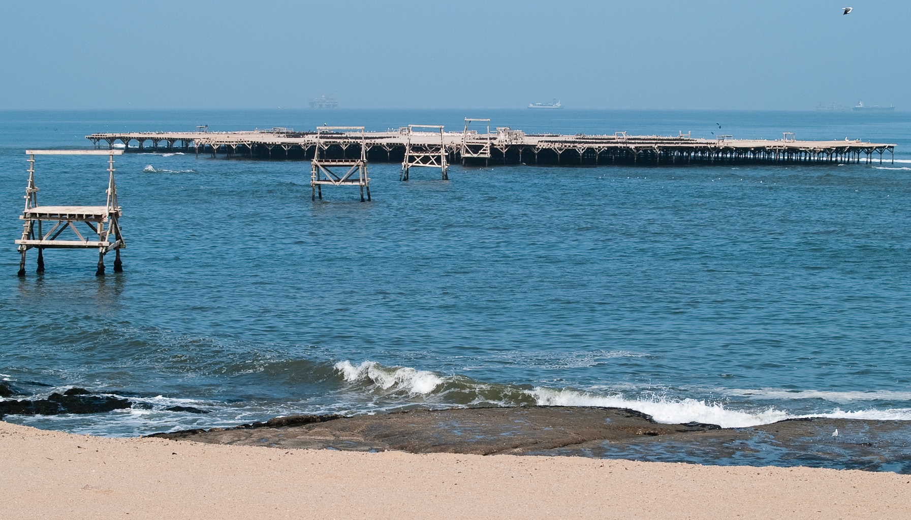 Bird Island (Namibia)