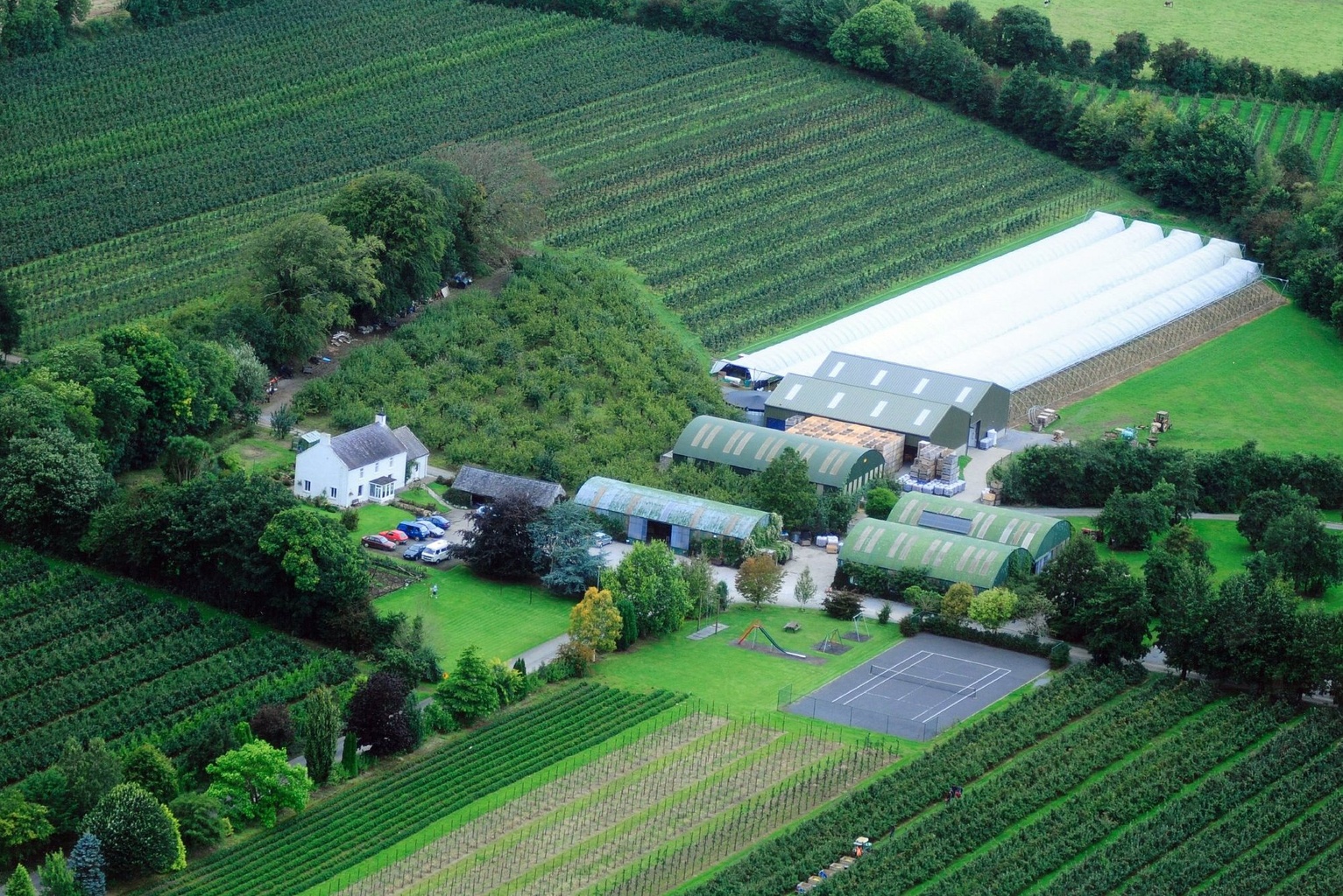 The Apple Farm