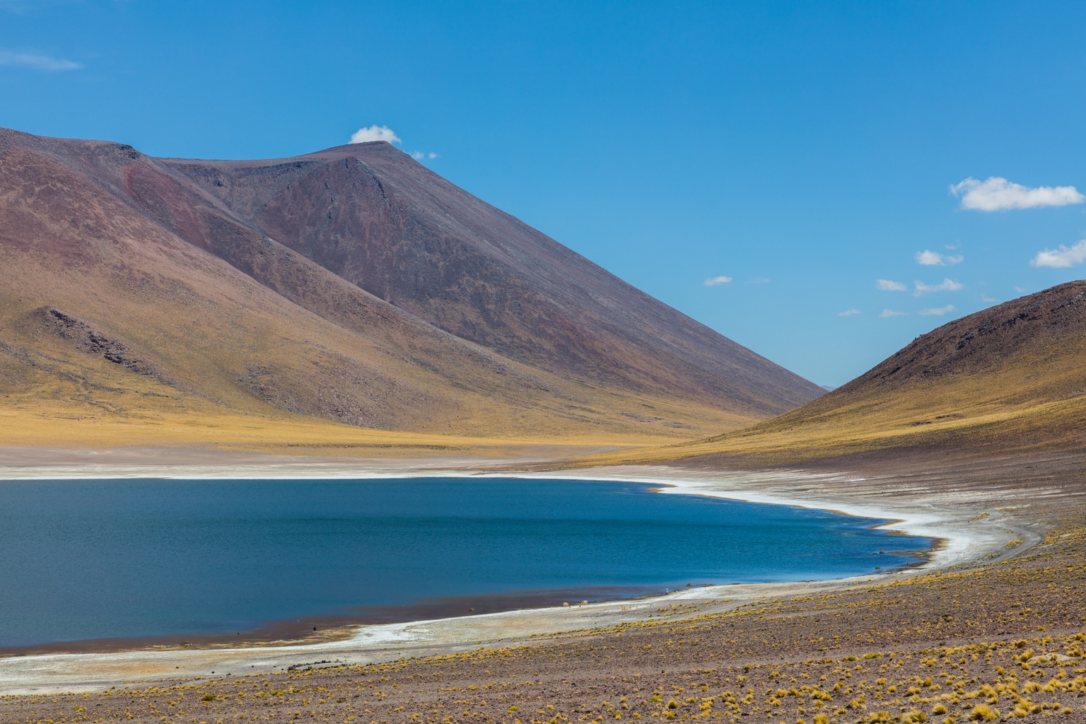 Laguna Mi iques