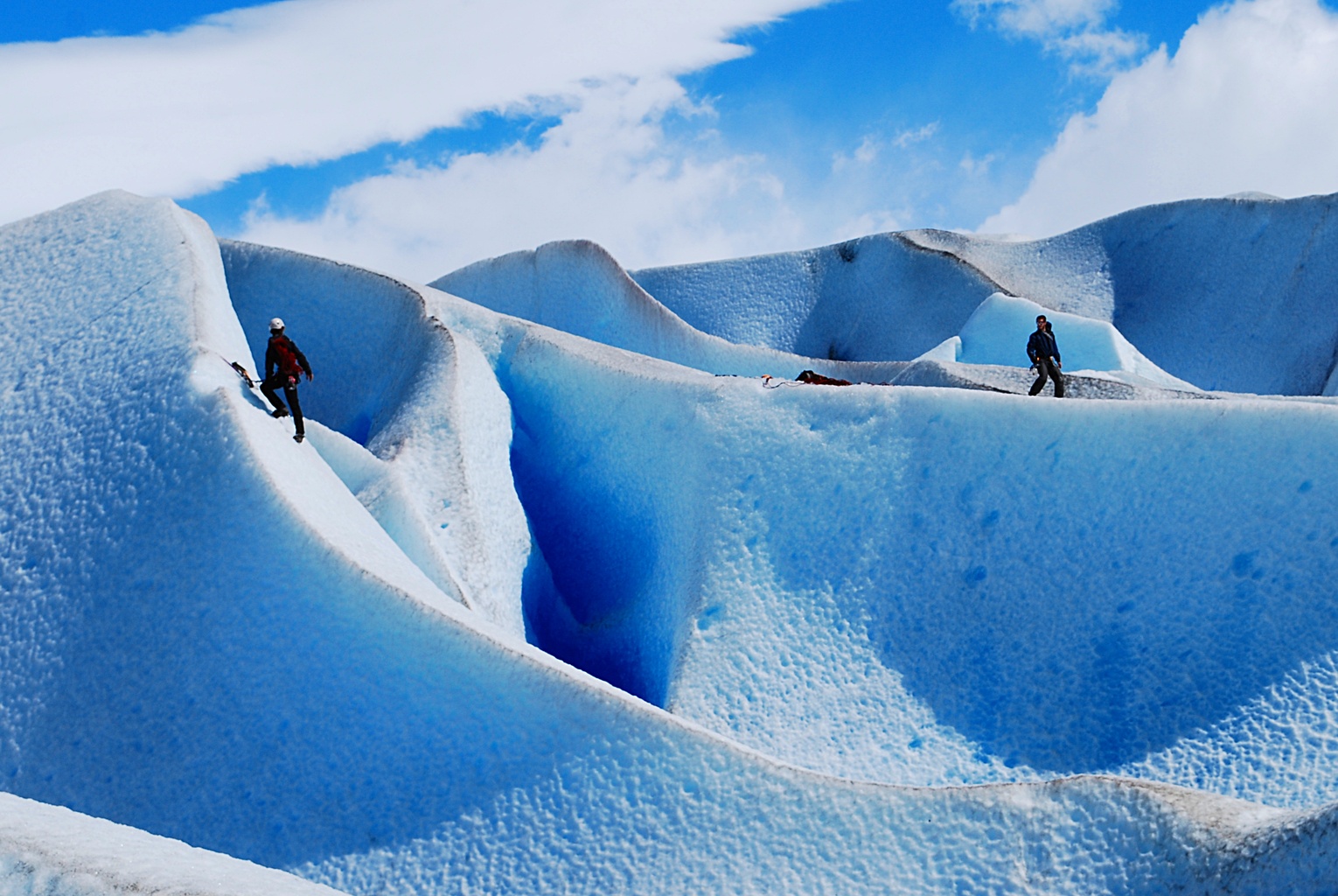 Grey Glacier
