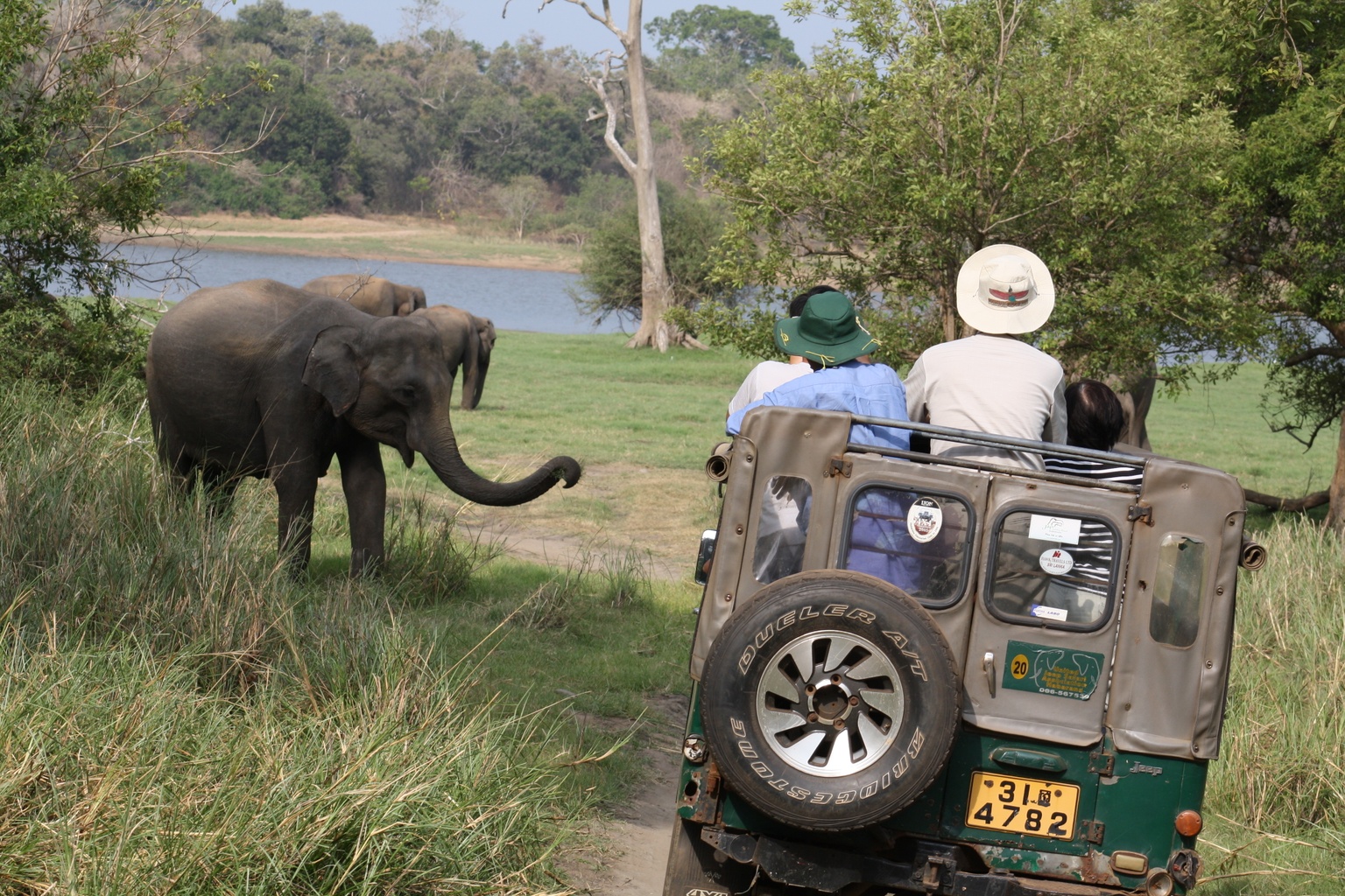 Minneriya National Park