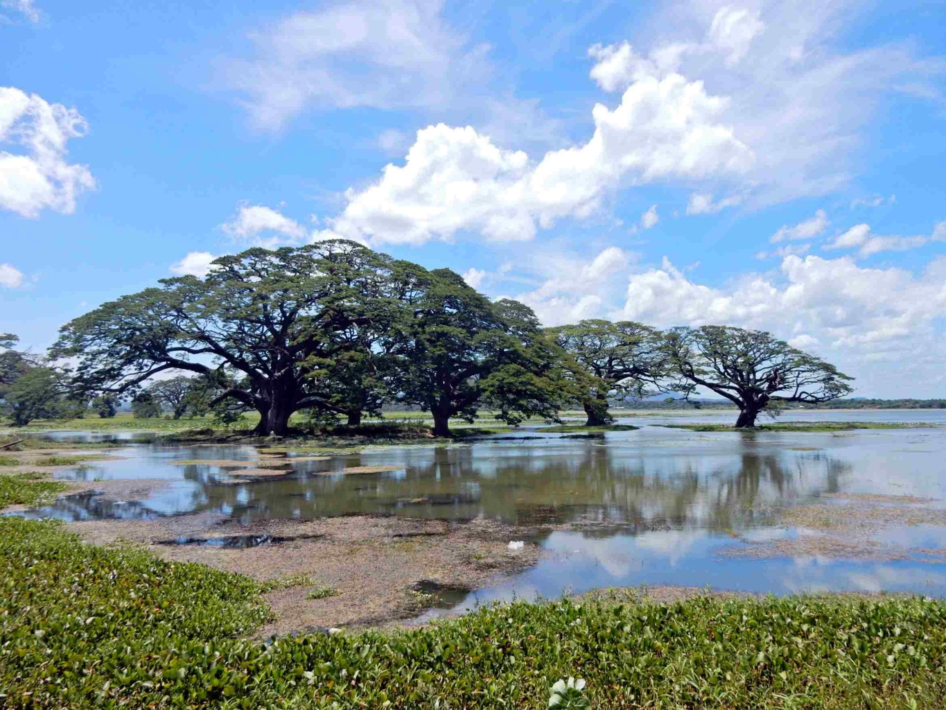 Tissa Wewa (Tissamaharama)