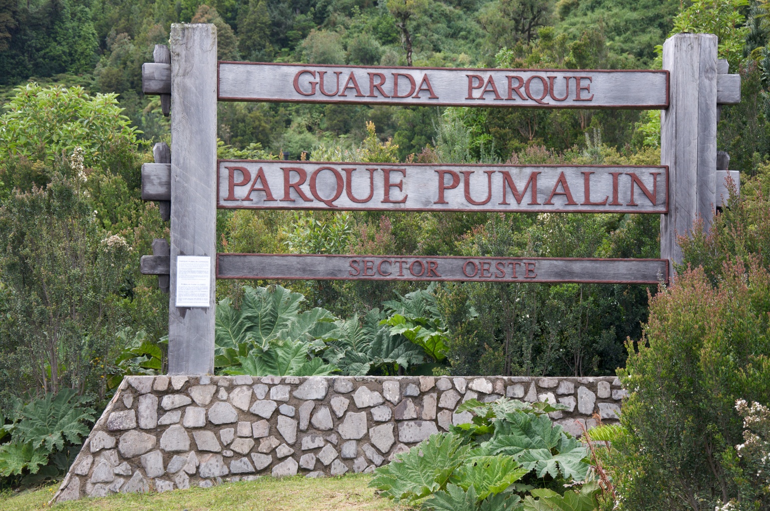 Pumalín National Park