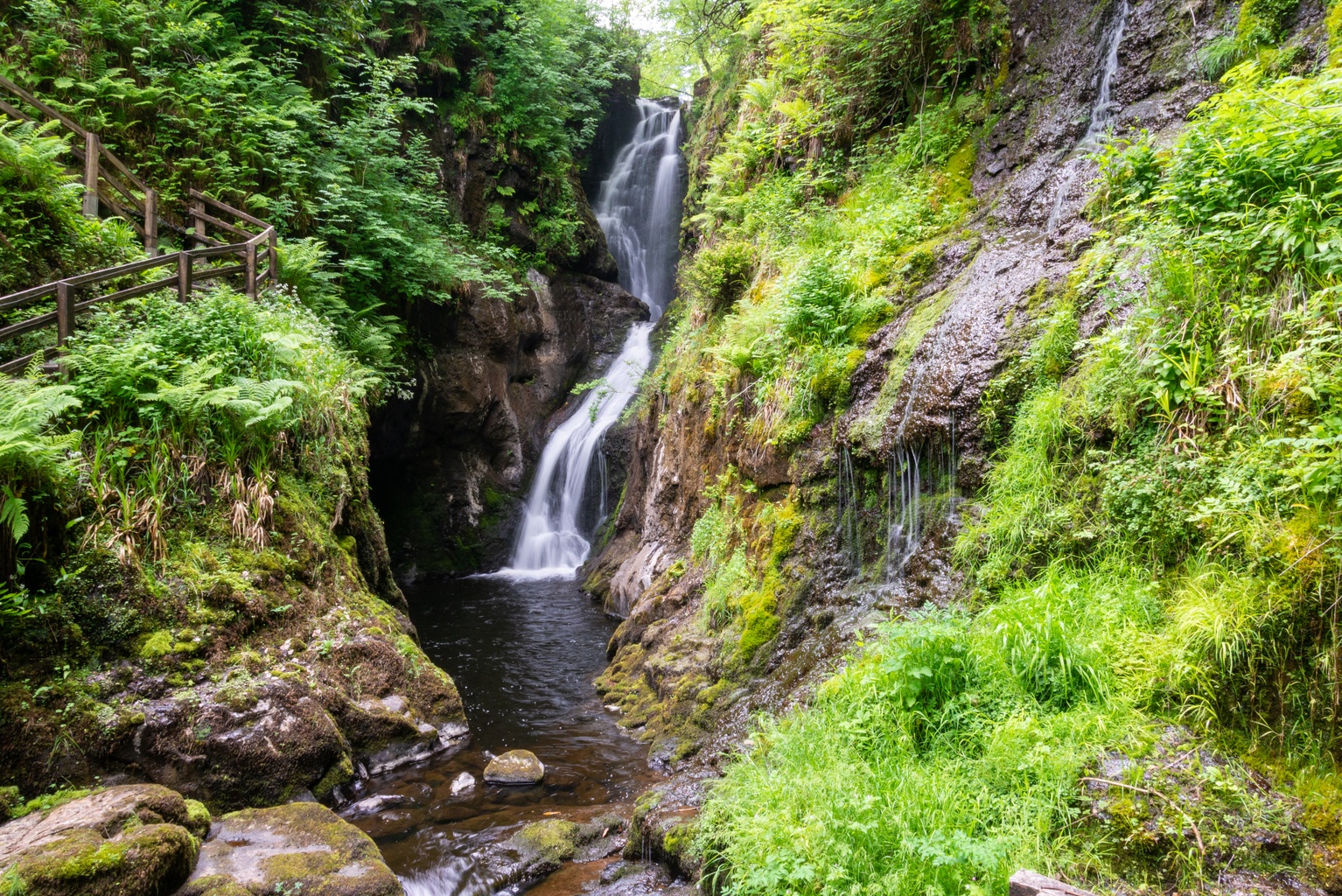 Glenariff Forest Park
