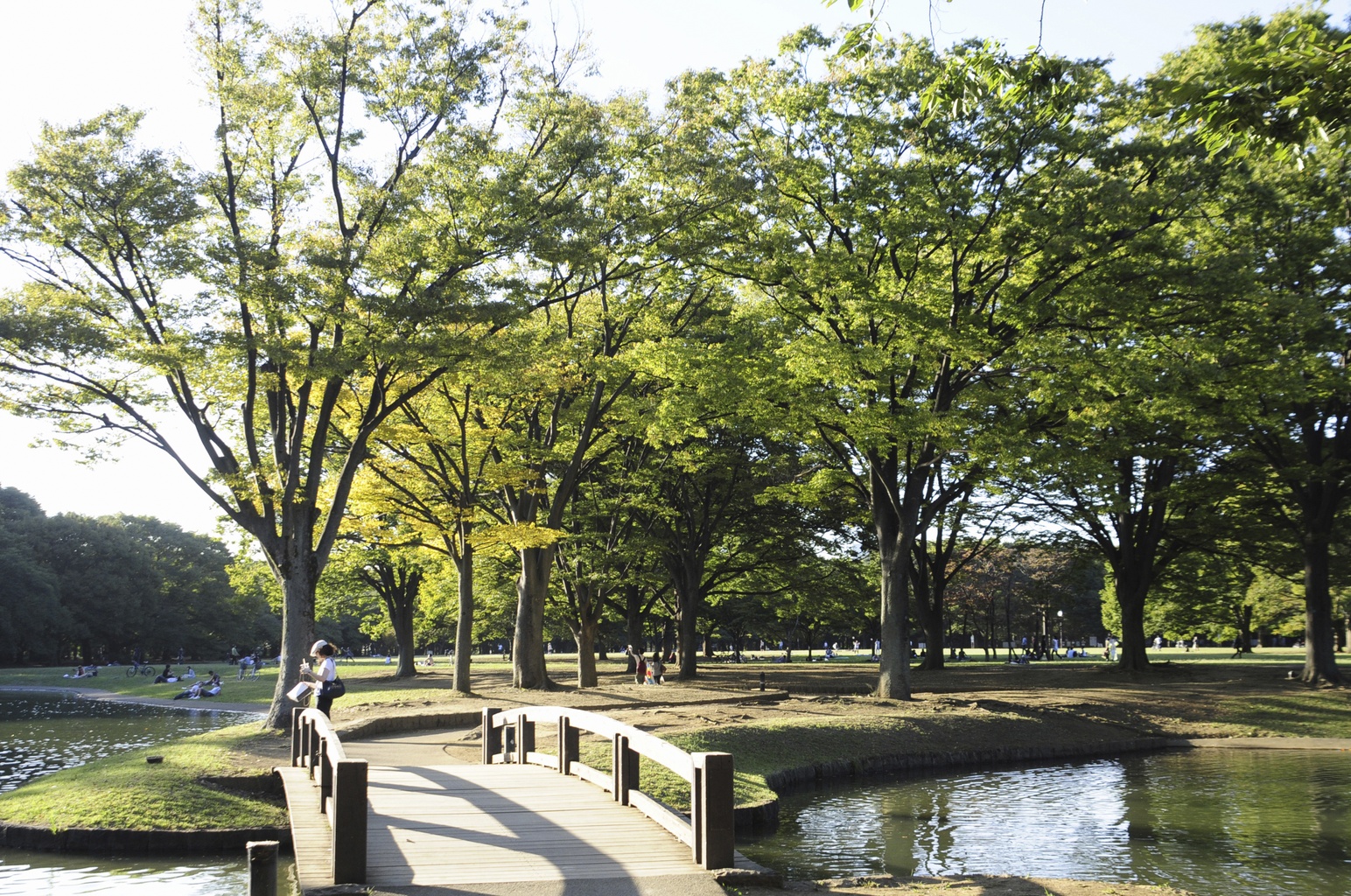 Yoyogi Park