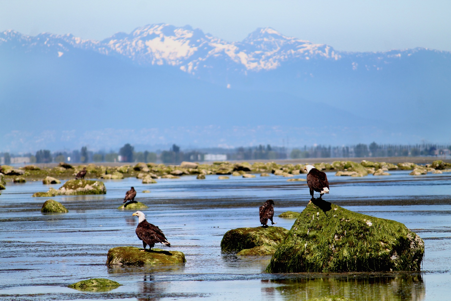 Point Roberts