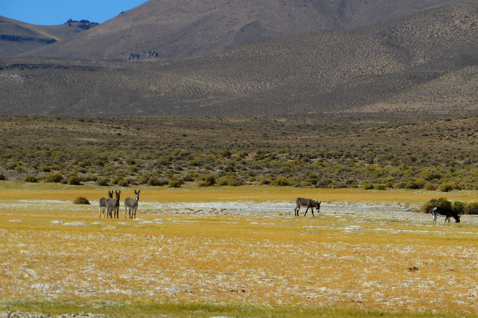Devil's Faucet Hot Spring