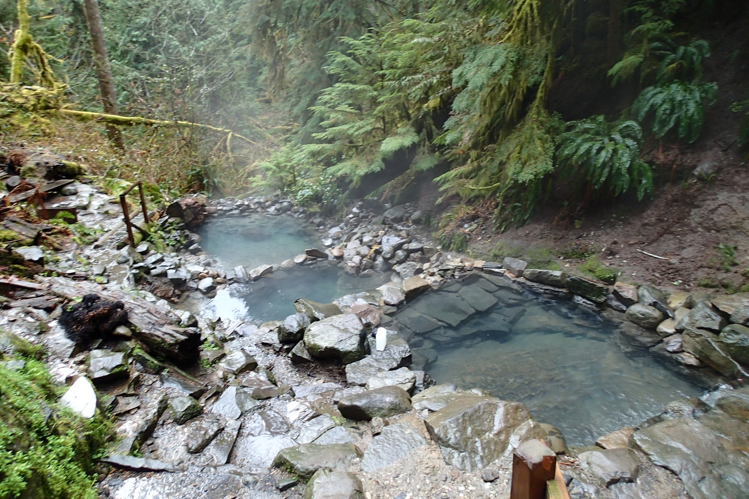 Terwilliger Hot Springs (Cougar Hot Springs)