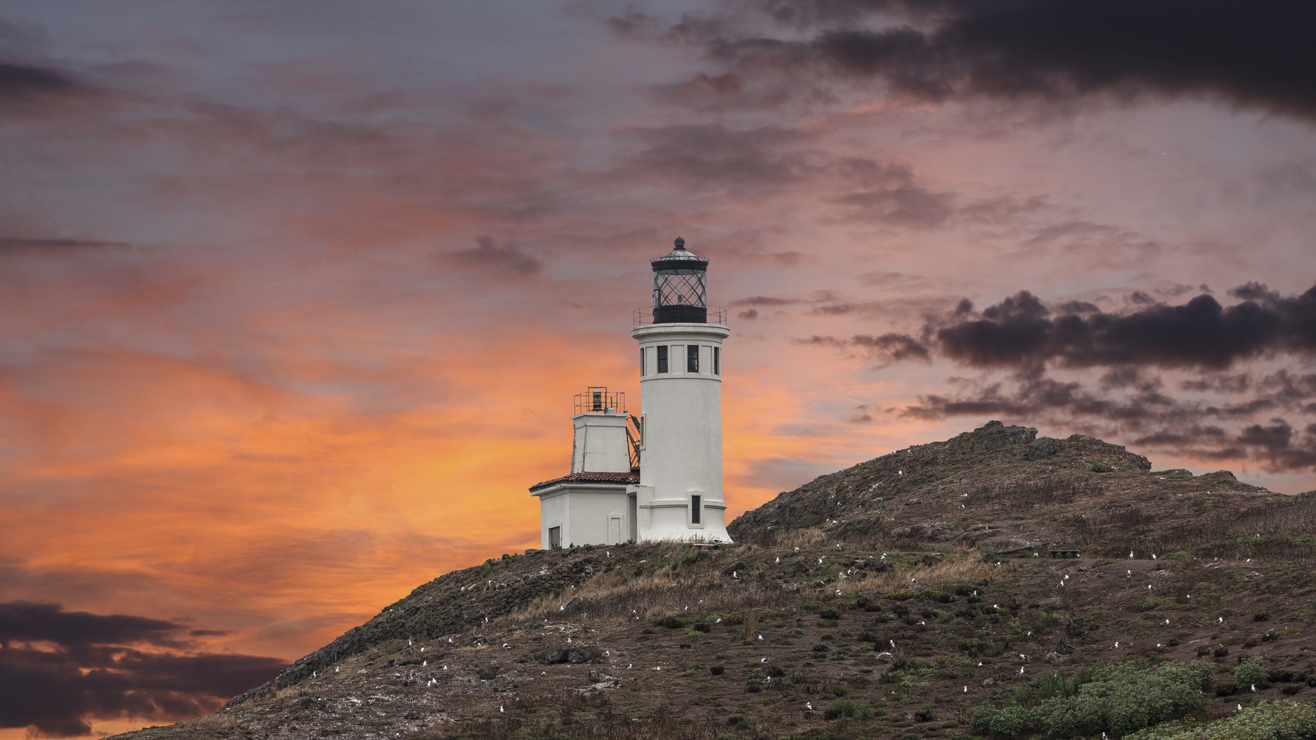 Anacapa Island Light