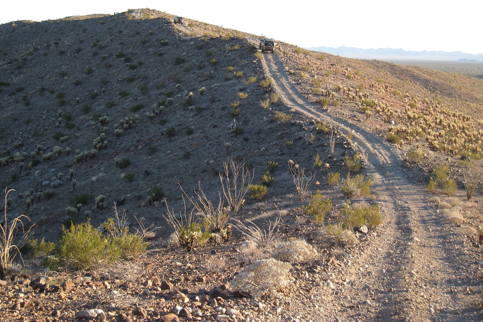 Chuckwalla Mountains