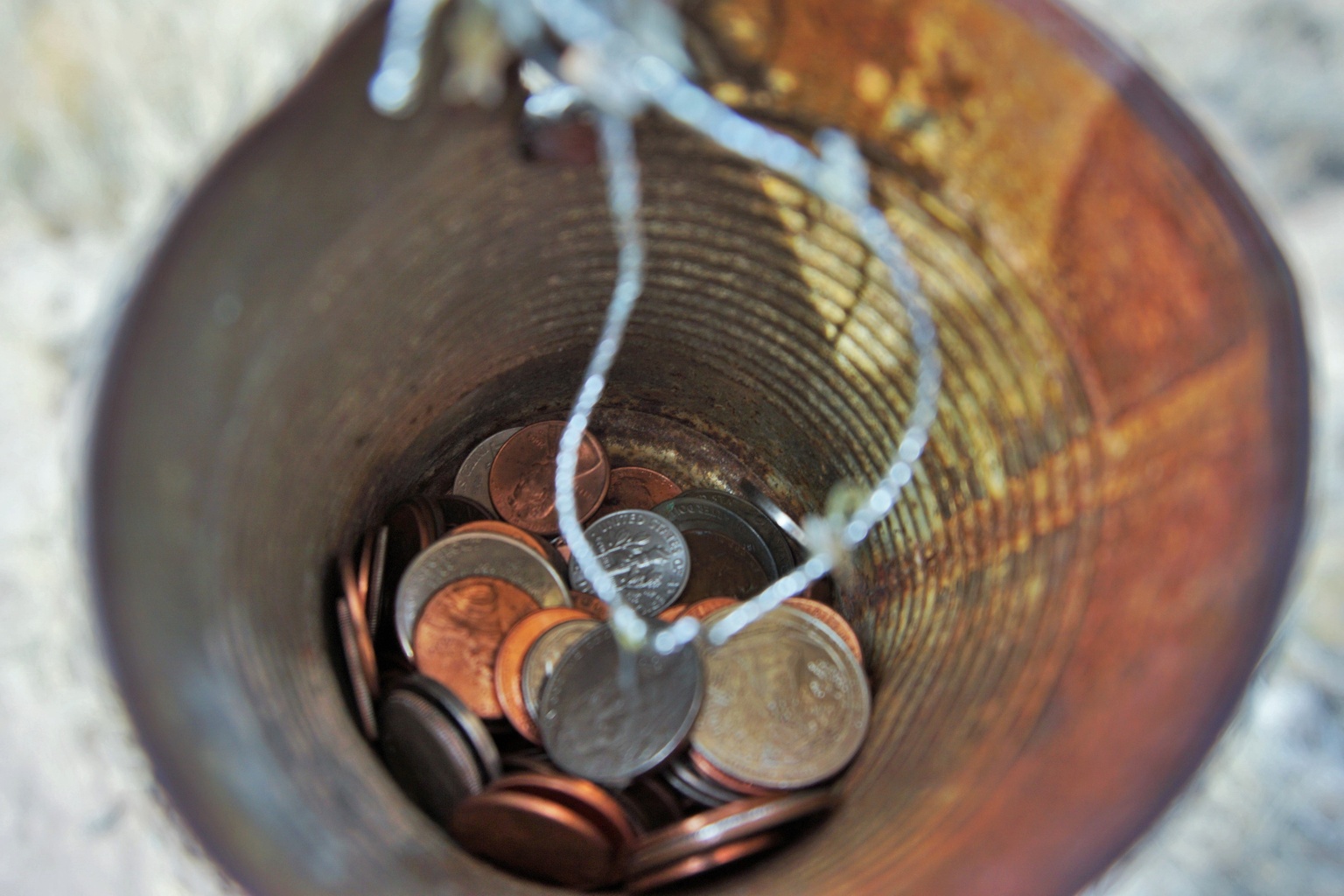 Mojave Road Penny Can Tree