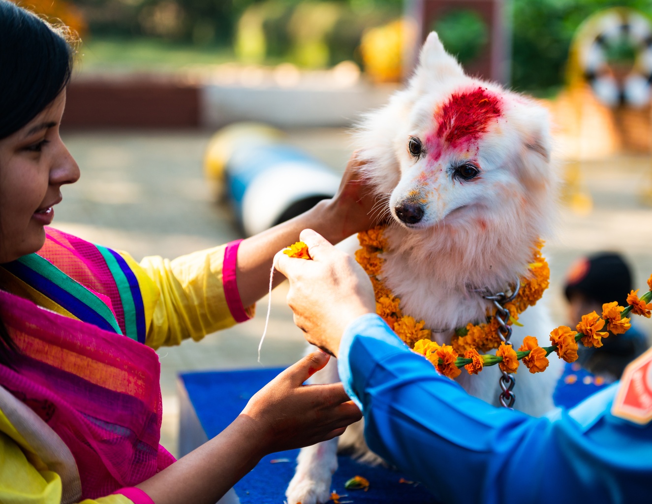 Kukur Tihar ("day of the dogs")