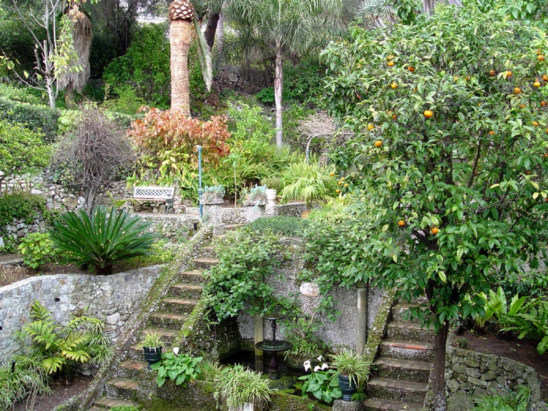 Gibraltar Botanic Gardens (La Alameda Gardens)