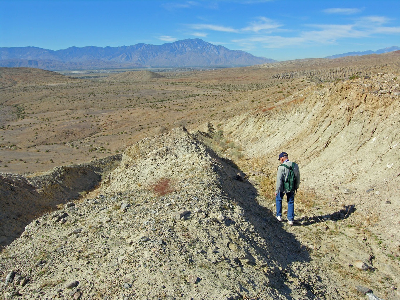 Pushawalla Palms & Hidden Horseshoe Trail Loop