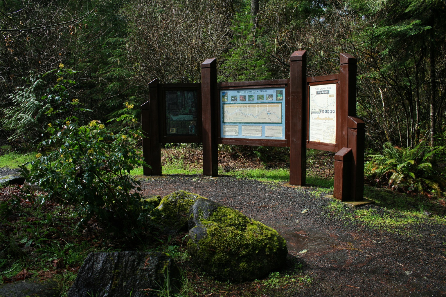 Fern Falls Trail