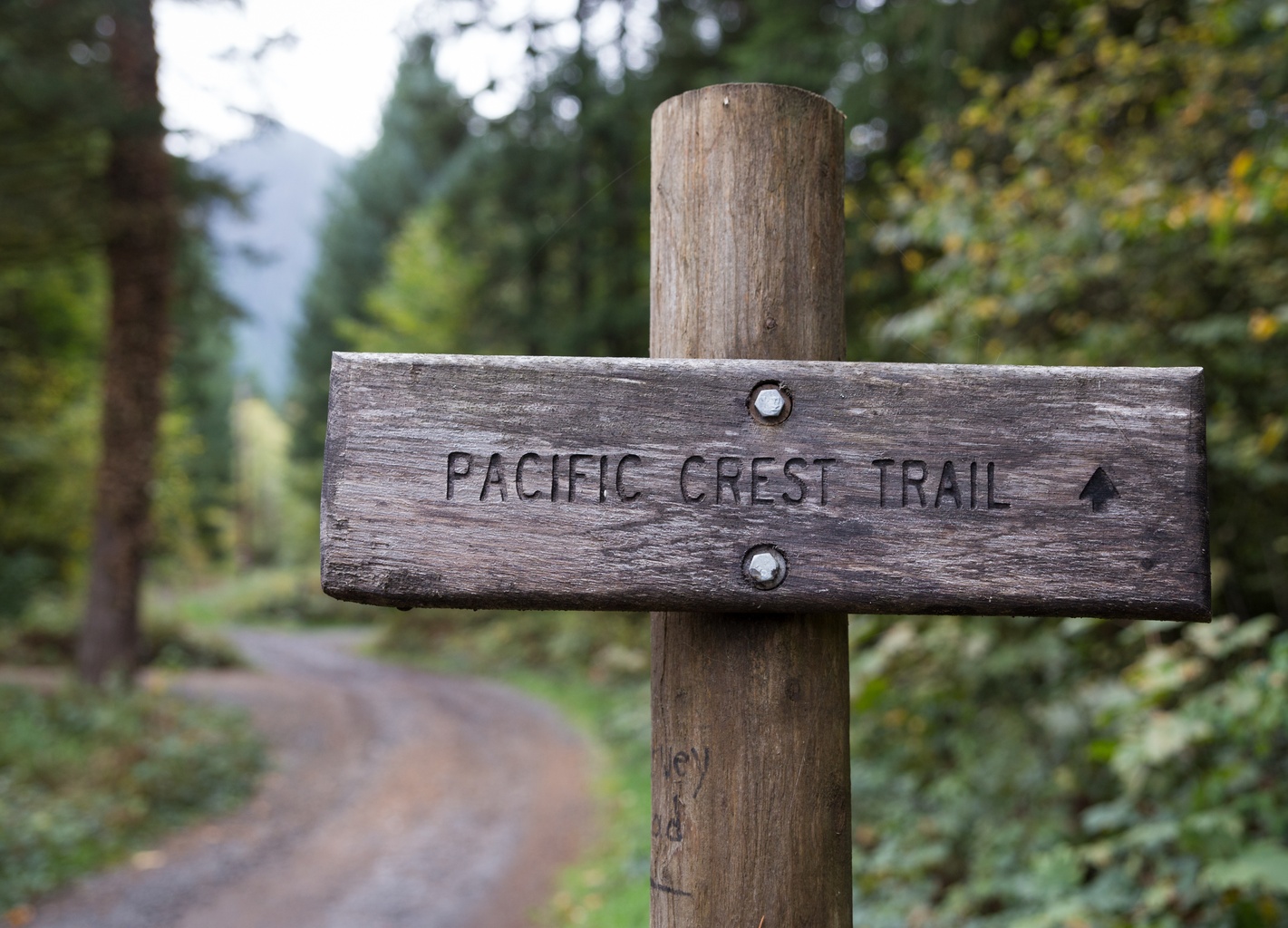 Pacific Crest Trail (PCT)
