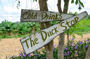 The Duck Stop