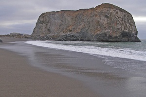 Goat Rock Beach