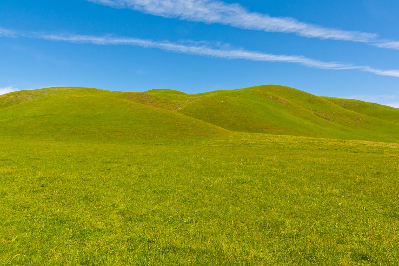 Tolay Lake Regional Park