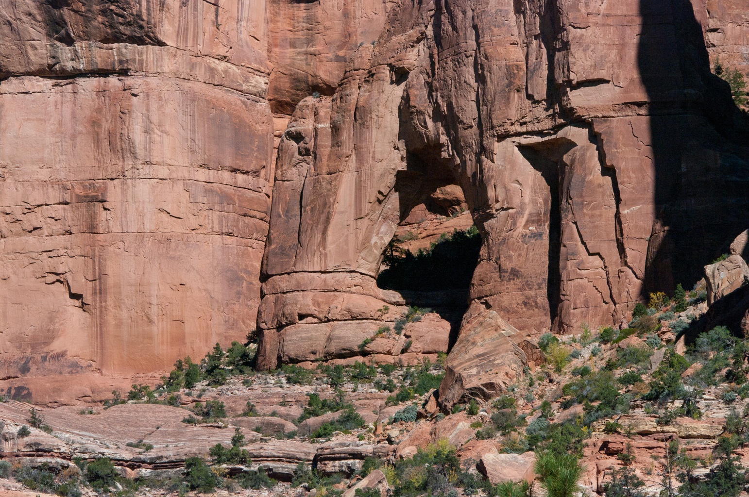 Cathedral Arch (Arch Canyon)