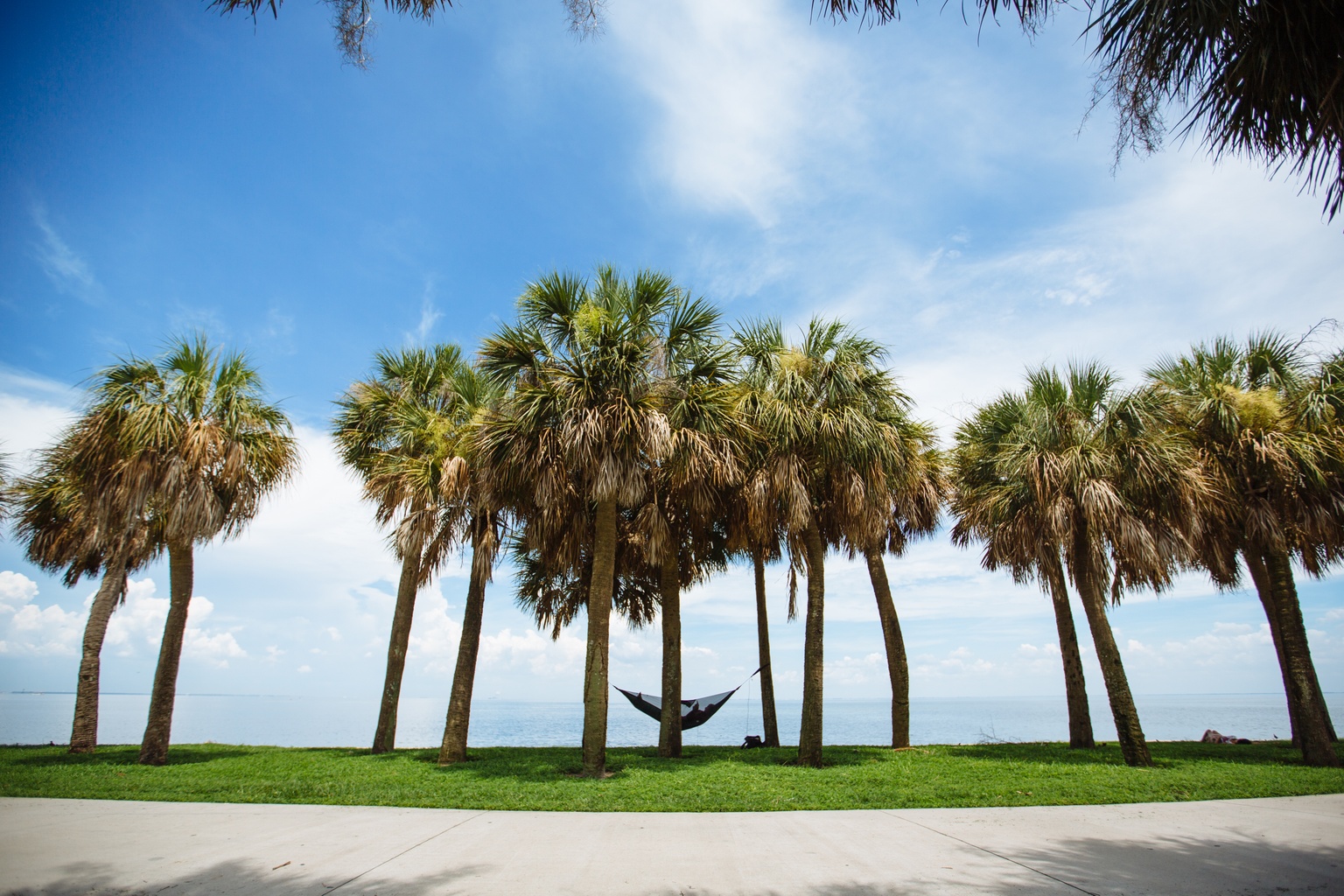 Vinoy & North Shore Park