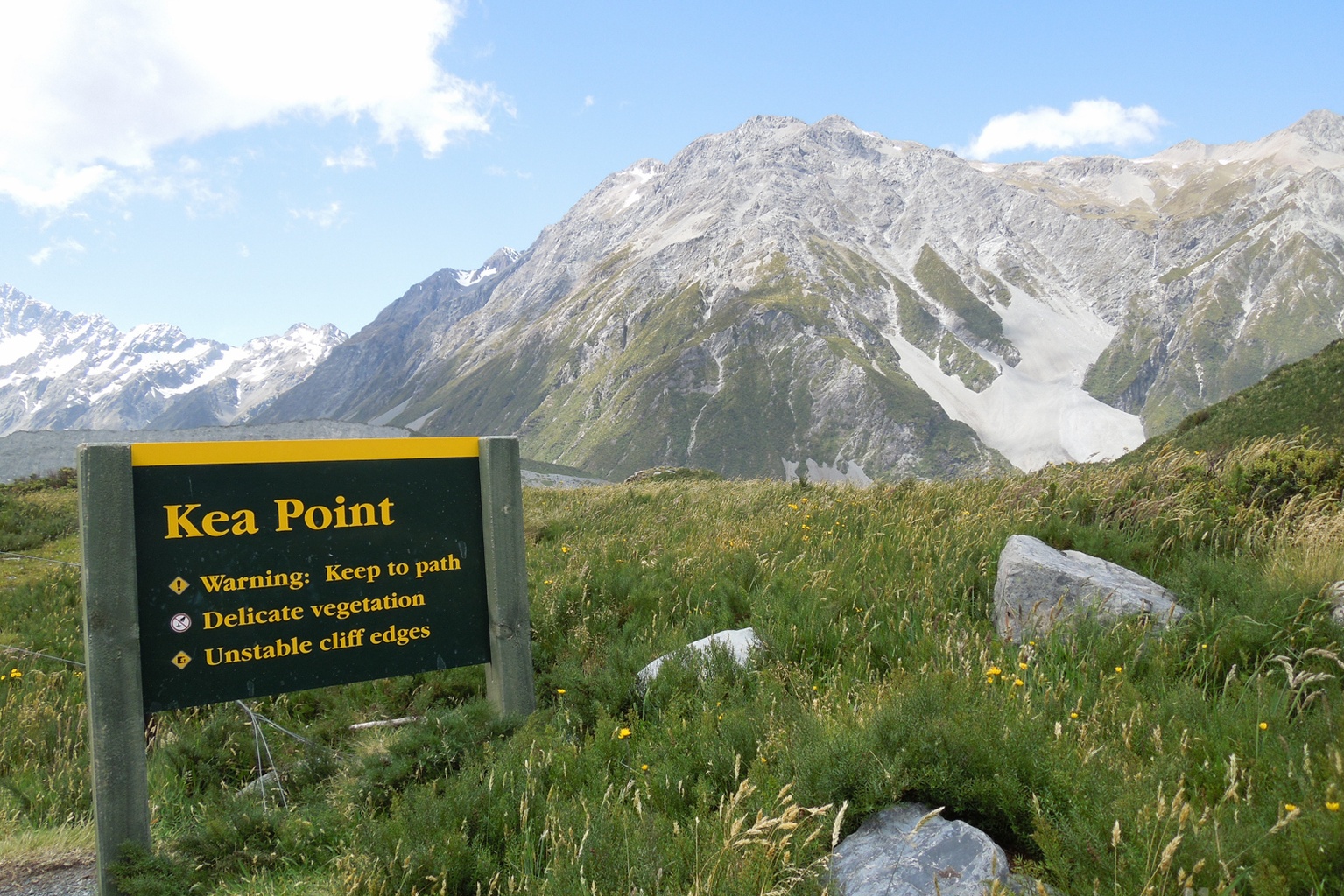Kea Point Track