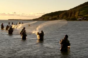 Dolphins and Humans Fishing Together at Laguna, Brazil